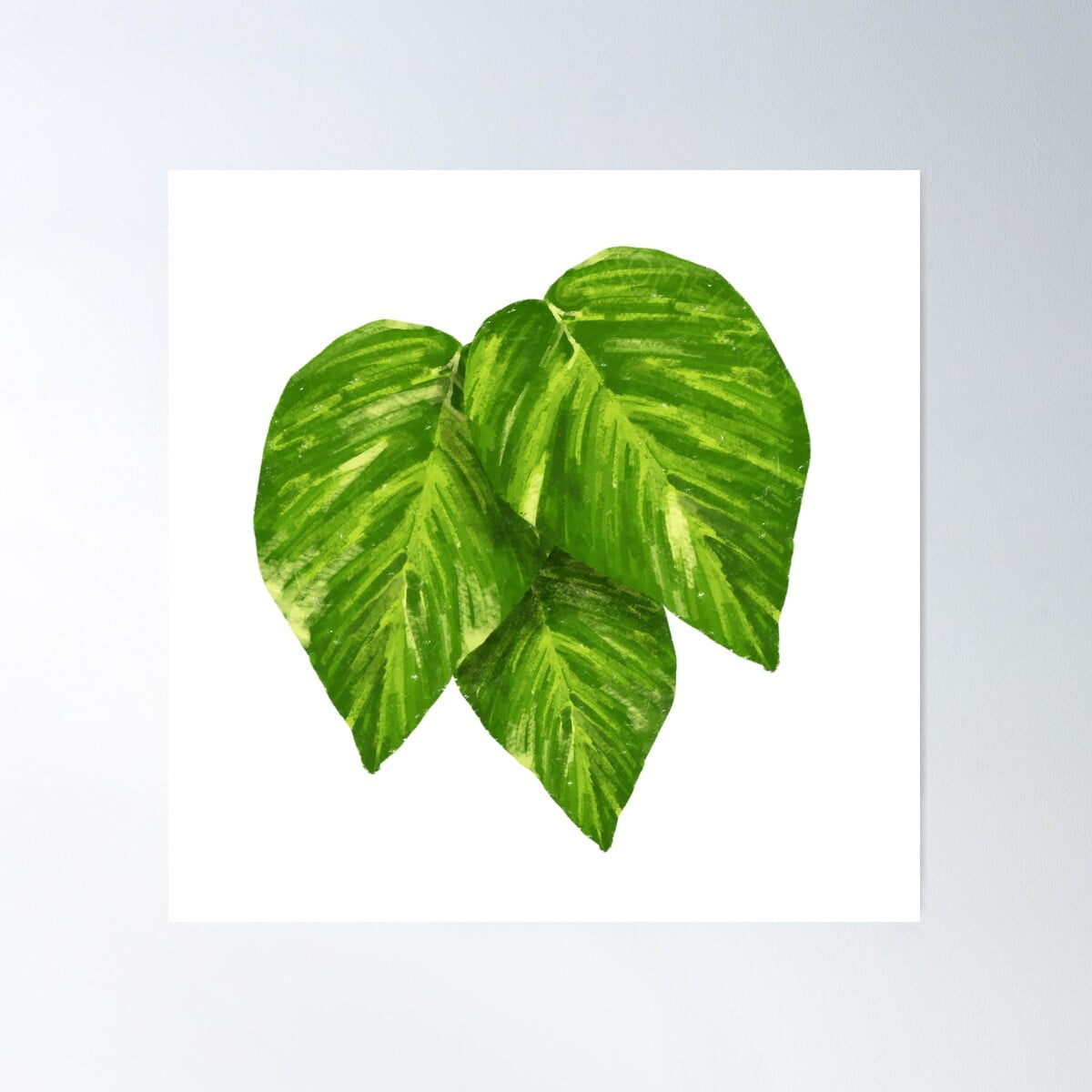 Pothos Golden Leaf Poster Wall Art, Modern Wall Decor For Living Room ...