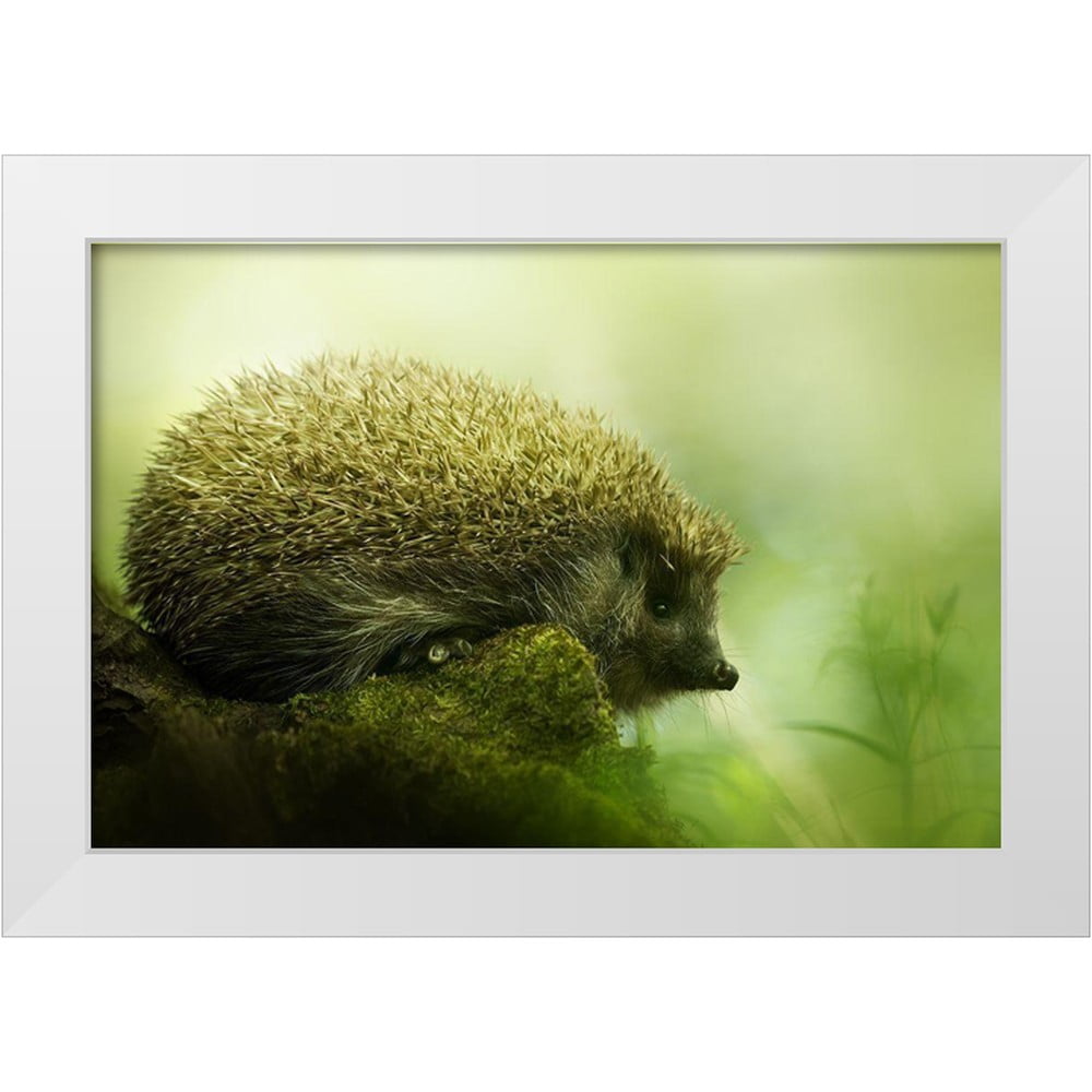 Potoma, Kristian 32x23 White Modern Wood Framed Museum Art Print Titled ...