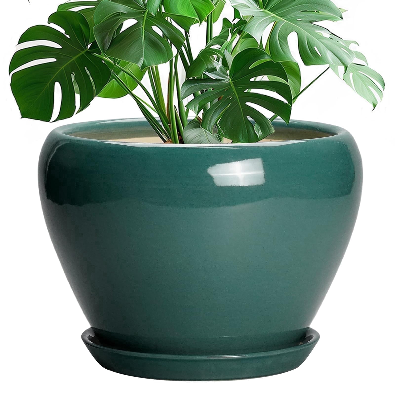 Stillaflora 10 inch Green Large Round Ceramic Decorative Planter with ...
