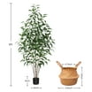 6 ft Tall Large Indoor Faux Moringa Oleifera Tree in Pot, Artificial ...