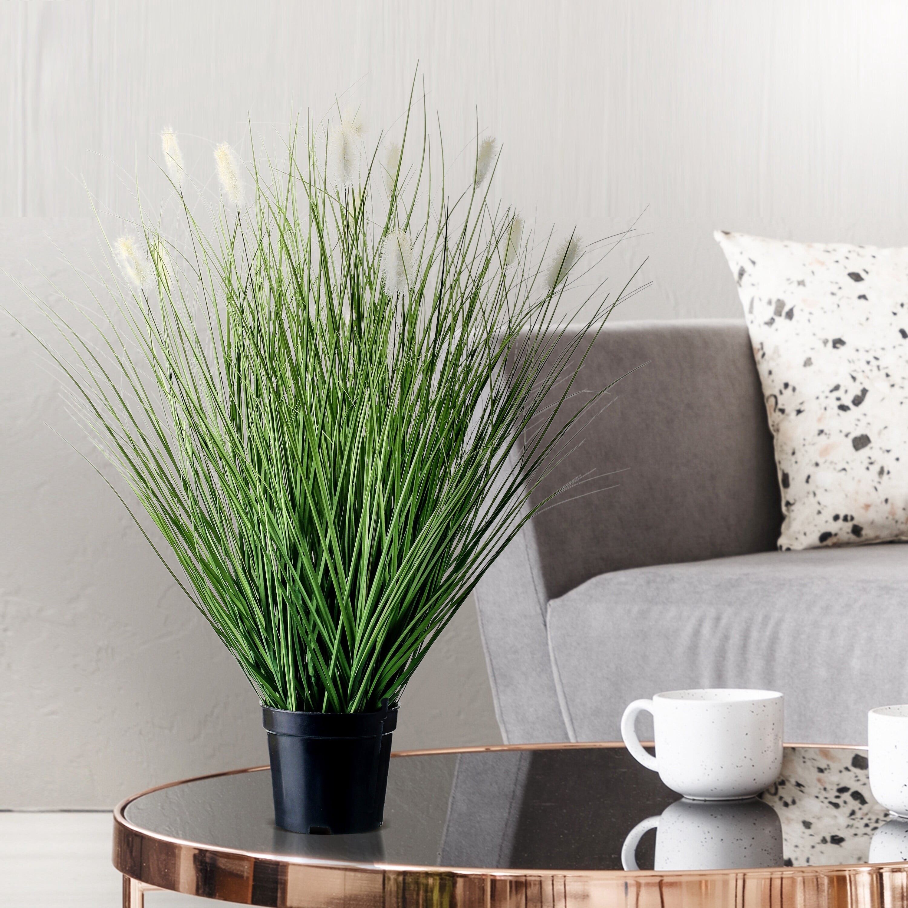 Potted Fountain Grass X13 24" - Walmart.com