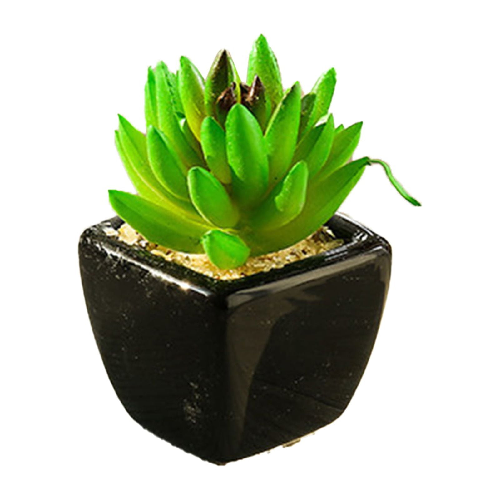 Potted Plant Simulated Easy to Care PVC Mini Assorted Decorative ...