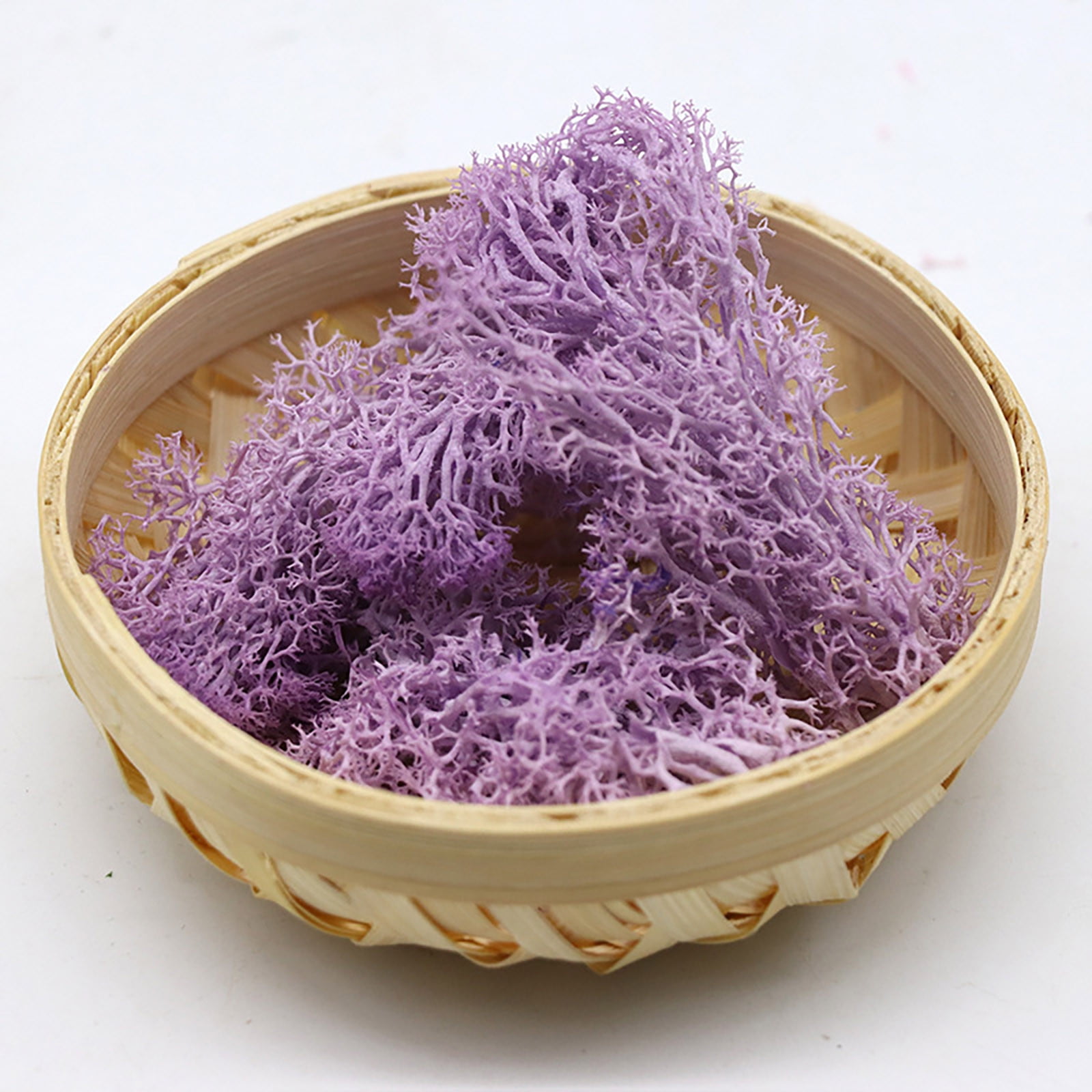 Potted Plants Garden Decoration Immortal Natural Dry Moss Wedding Party ...