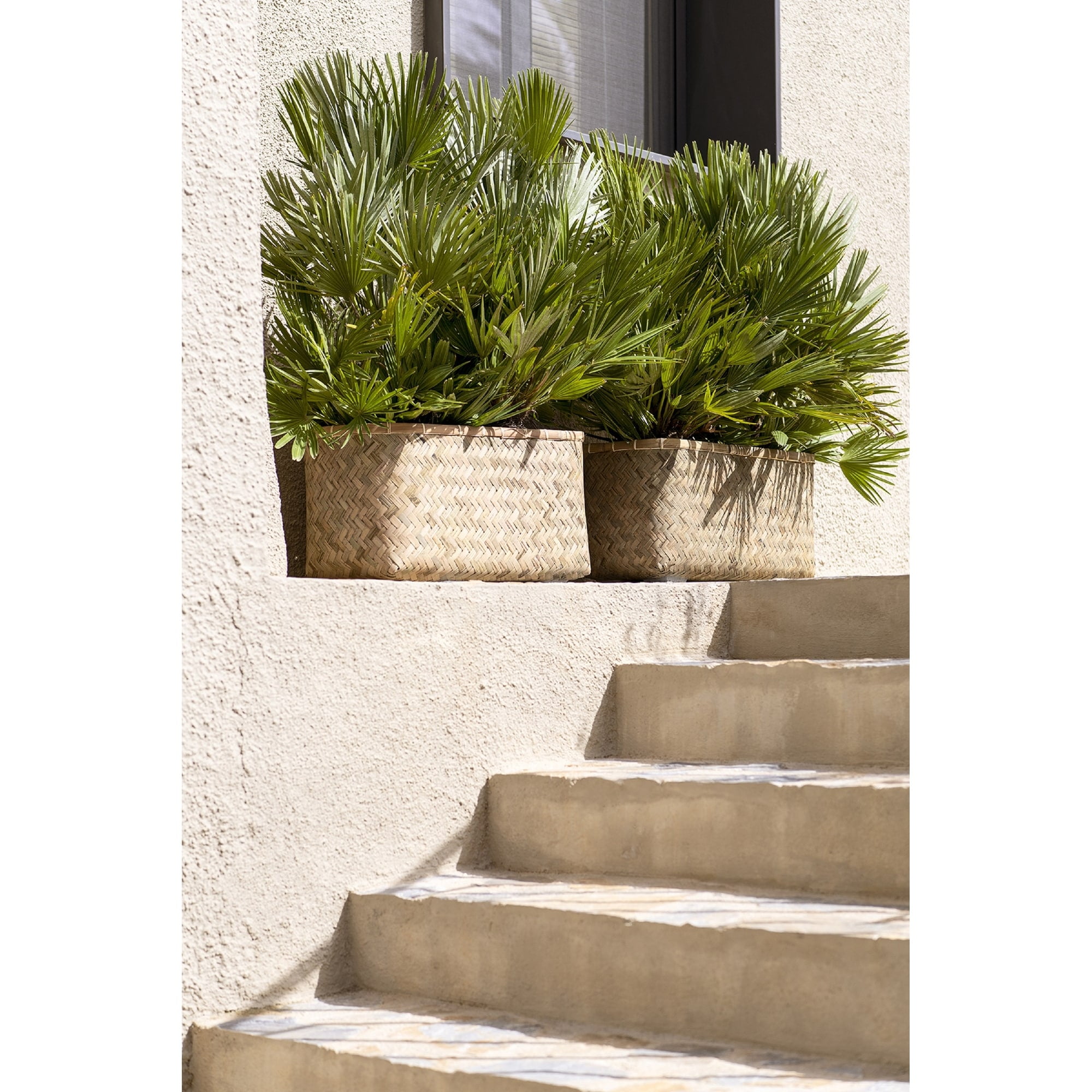 Pottery Pots USA Inc. Pottery Pots Rafi Bamboo Indoor Outdoor Rectangle ...
