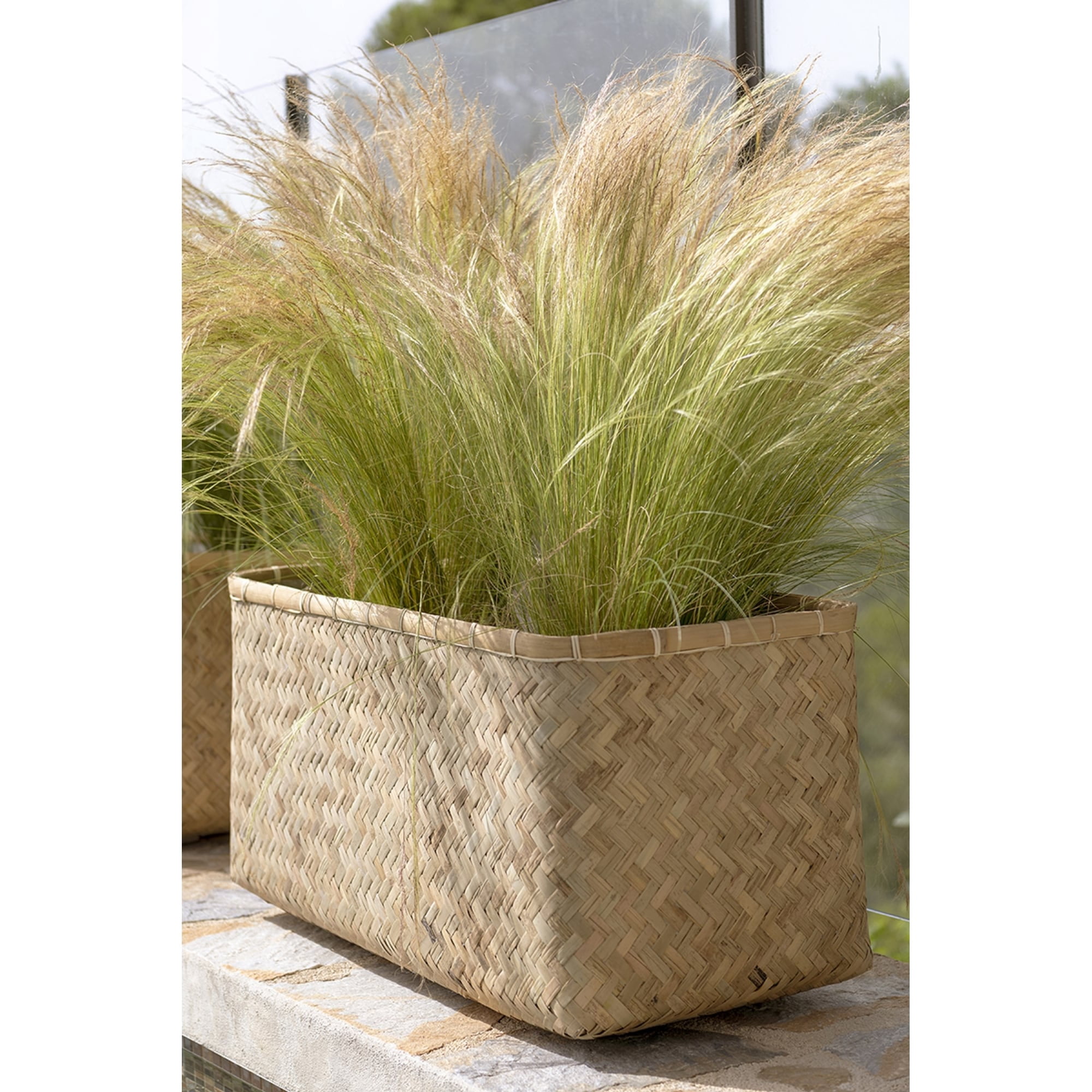 Pottery Pots USA Inc. Pottery Pots Rafi Bamboo Indoor Outdoor Rectangle ...