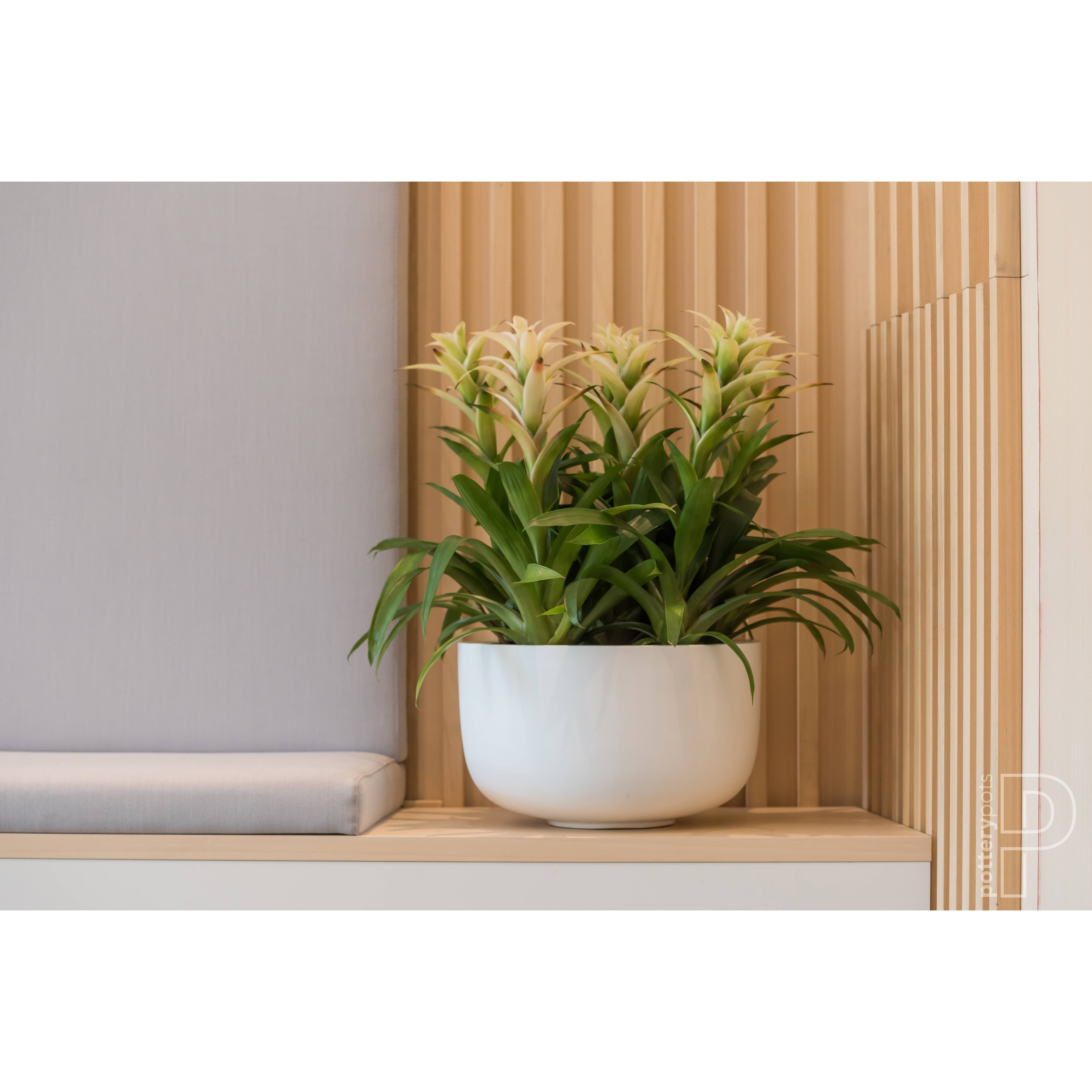 Pottery Pots USA Inc. Pottery Pots Sunny Fiberstone Indoor Outdoor ...