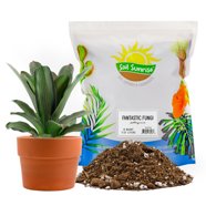 Wakefield BioChar Organic Soil Conditioner, Indoor/Outdoor, 1 Cubic ...