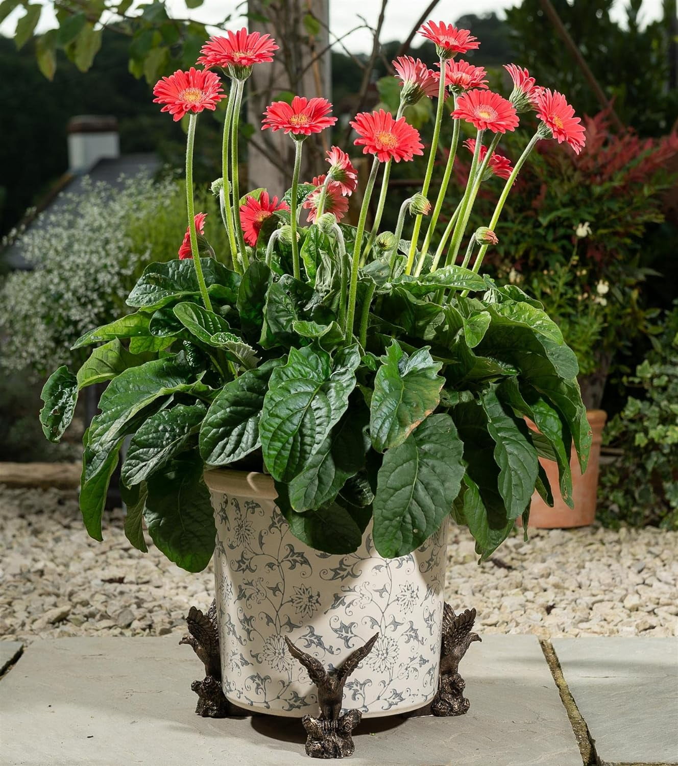 Potty Feet American Bald Eagle Figures Pot Feet Planter Riser - Pot ...