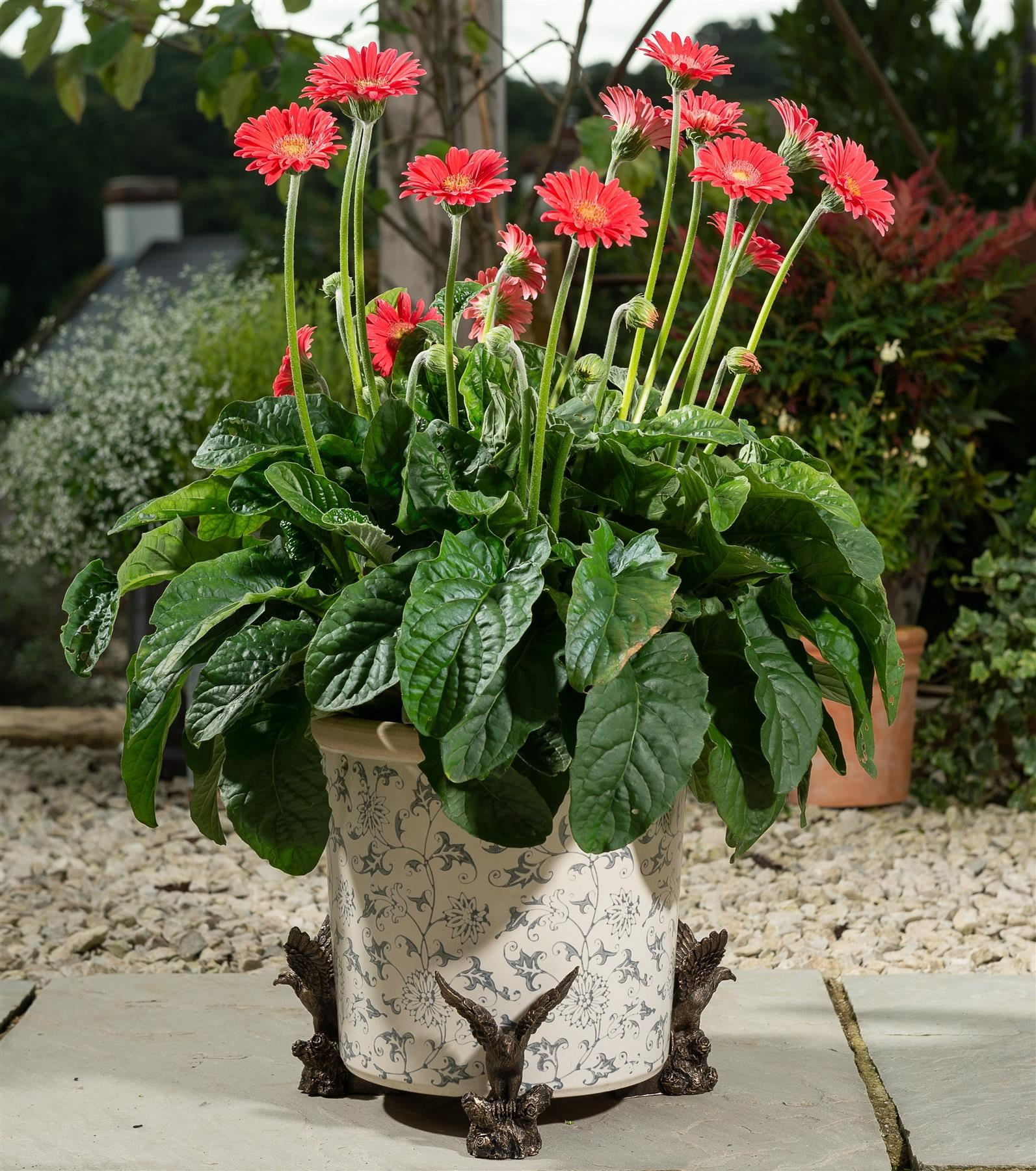 Potty Feet American Bald Eagle Plant Pot Feet - Set of 3 - Walmart.com