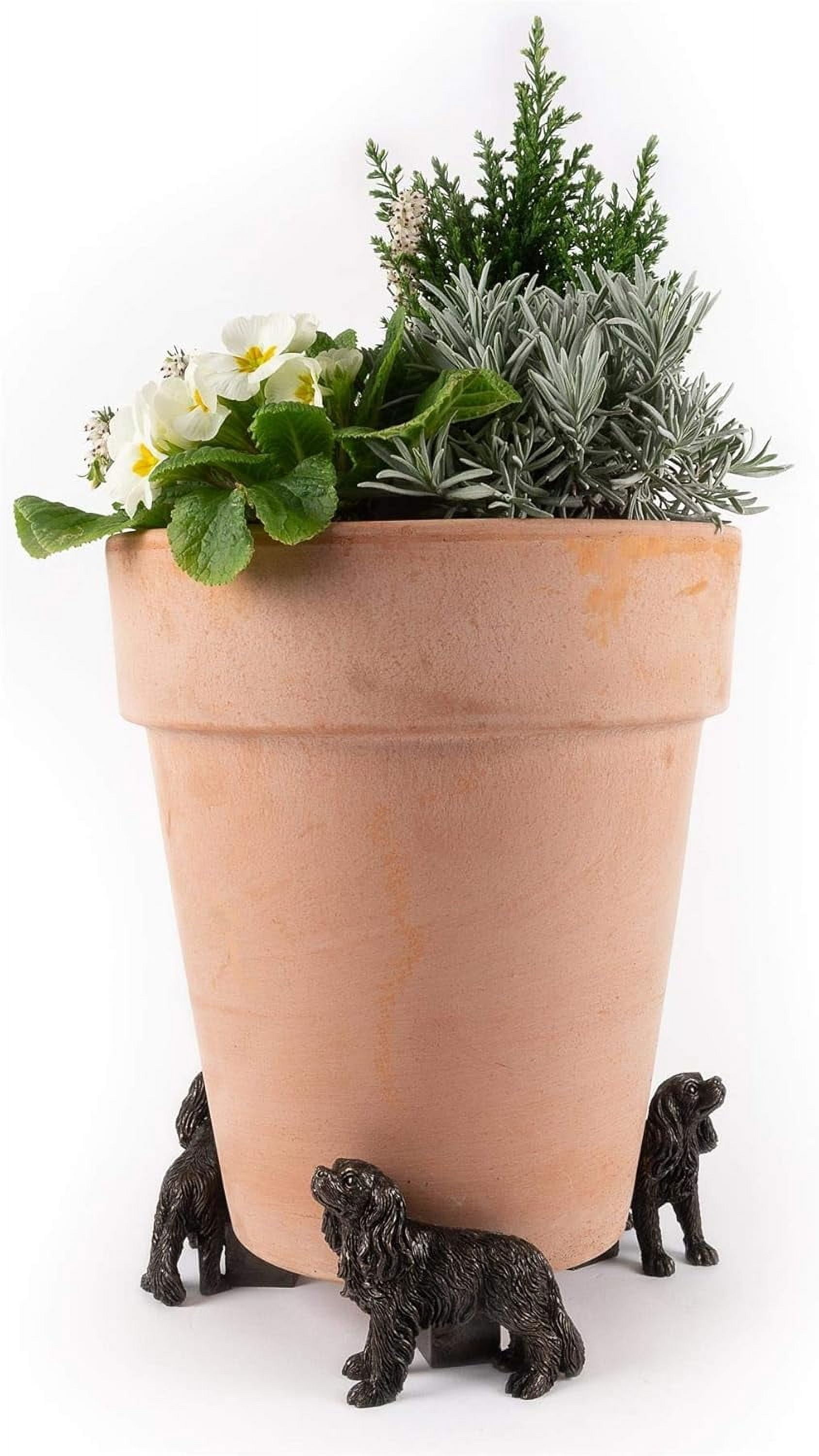 Potty Feet Cavalier King Charles Spaniel Figures Plant Pot Feet Planter ...