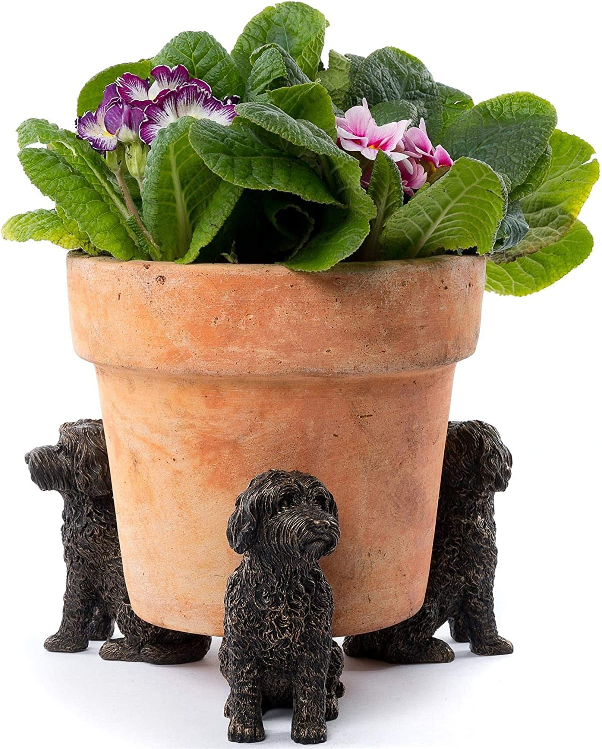 Potty Feet Cockapoo Decorative Plant Pot Feet Planter Riser - Pot ...