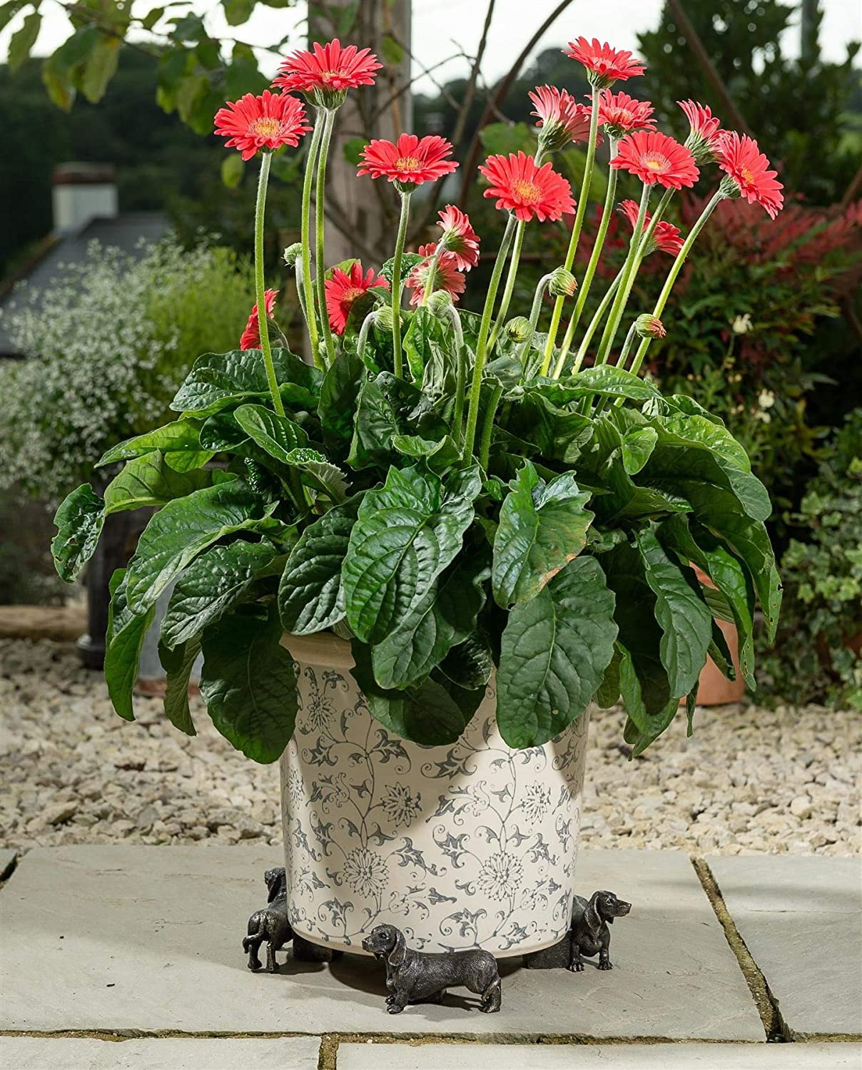 Potty Feet Dachshund Figures Pot Feet Planter Riser - Pot Support Feet ...