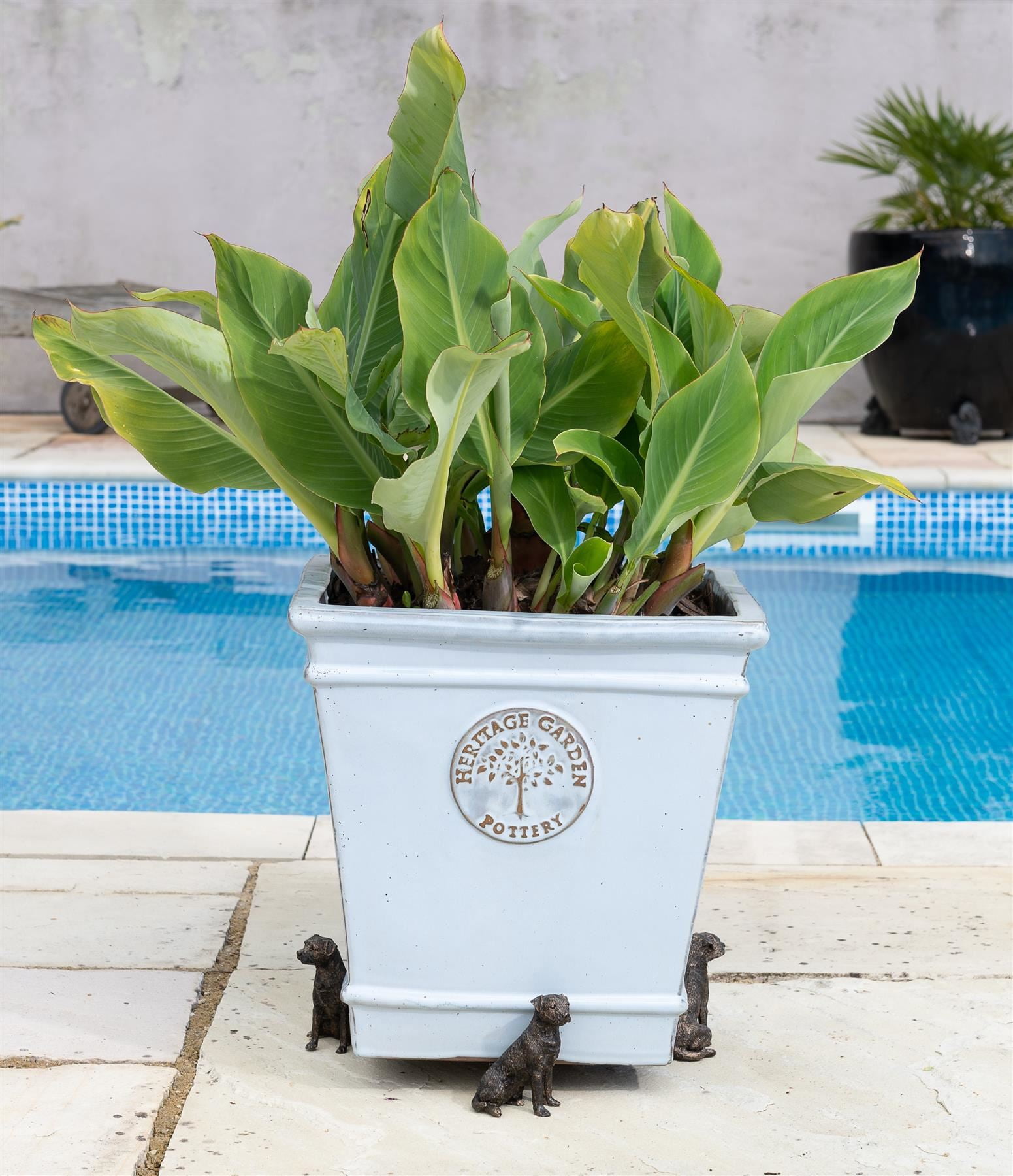 Potty Feet Decorative Border Terrier Themed Plant Pot Feet Bronze Color ...