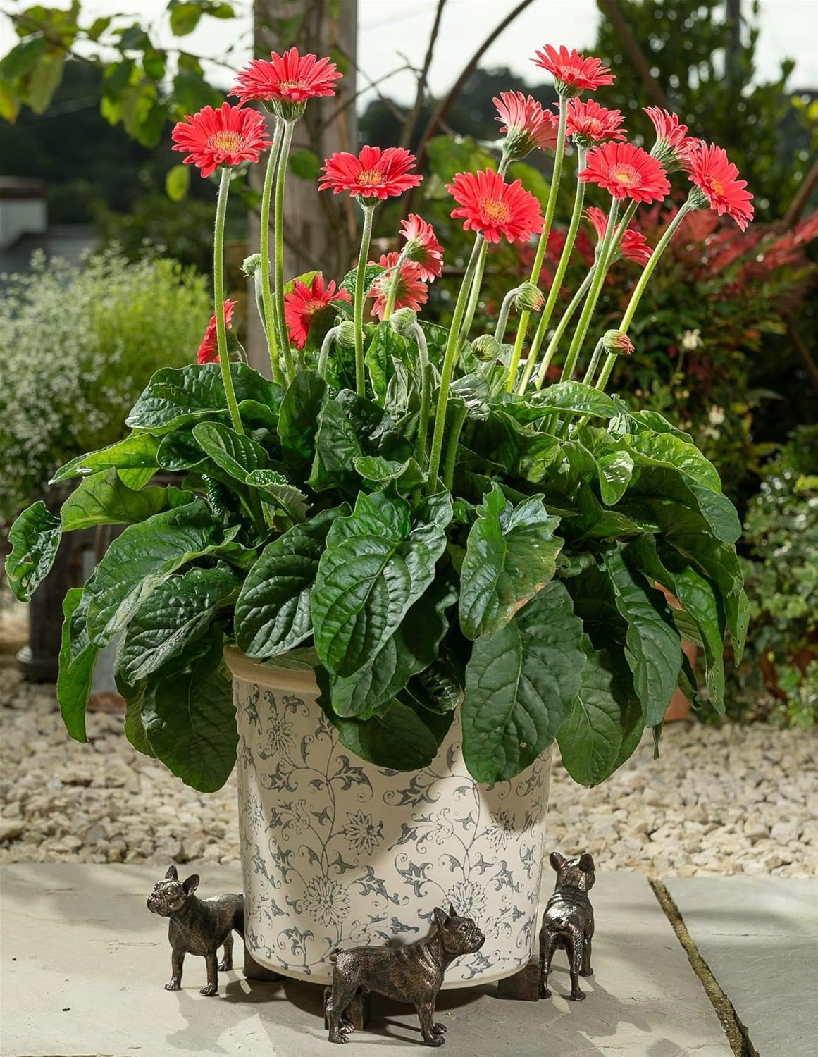 Potty Feet French Figures Plant Pot Feet Planter Riser - Pot Support ...