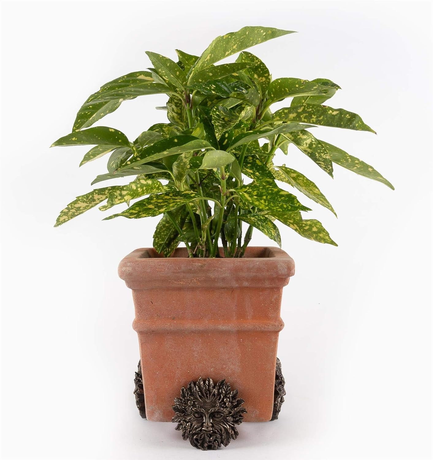 Potty Feet Green Man Figures Plant Pot Feet Planter Riser - Pot Support ...