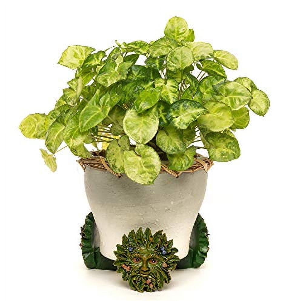 Potty Feet Green Man Figures Plant Pot Feet Planter Riser - Pot Support ...