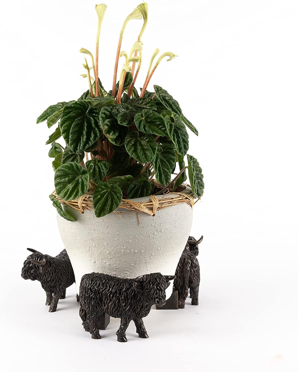 Potty Feet Highland Cow Figures Plant Pot Feet Planter Riser - Pot ...