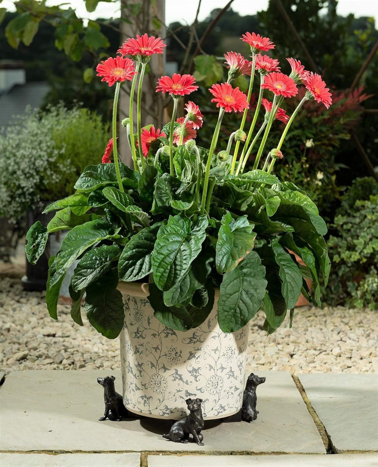 Potty Feet Jack Russell Terrier Figures Plant Pot Feet Planter Riser ...