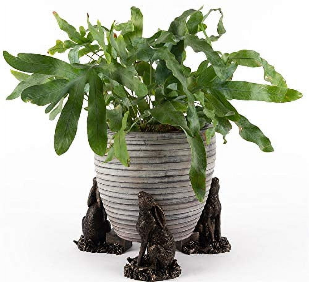 Potty Feet Large Moongazing Hare Figures Plant Pot Feet Planter Riser ...