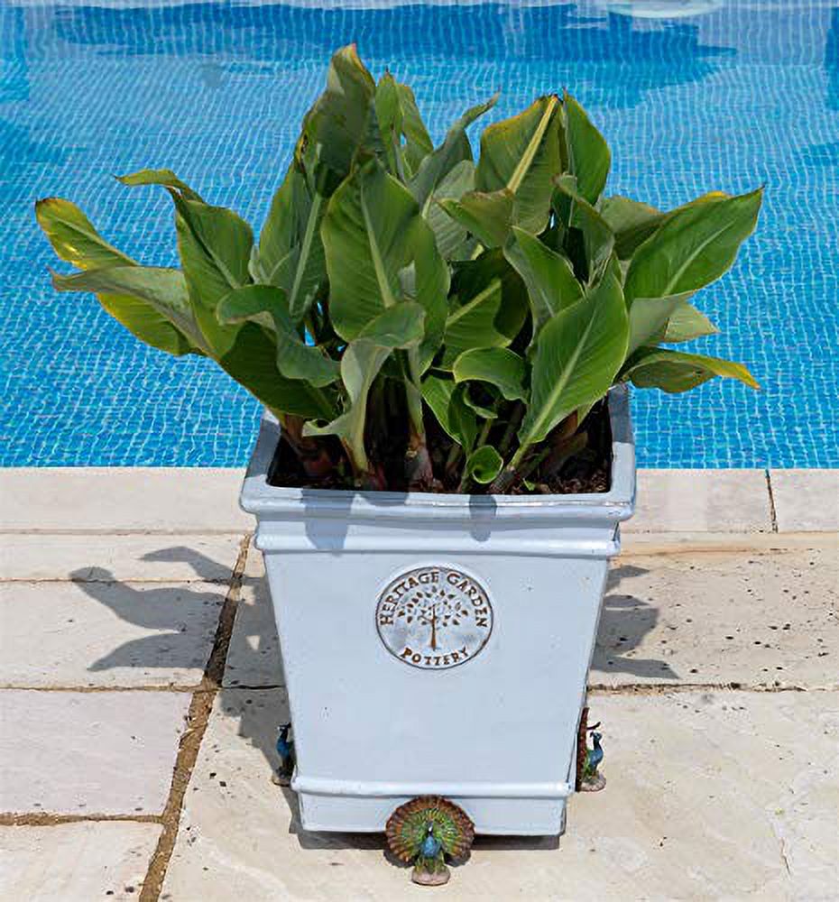 Potty Feet Peacock Figures Plant Pot Feet Planter Riser - Pot Support ...