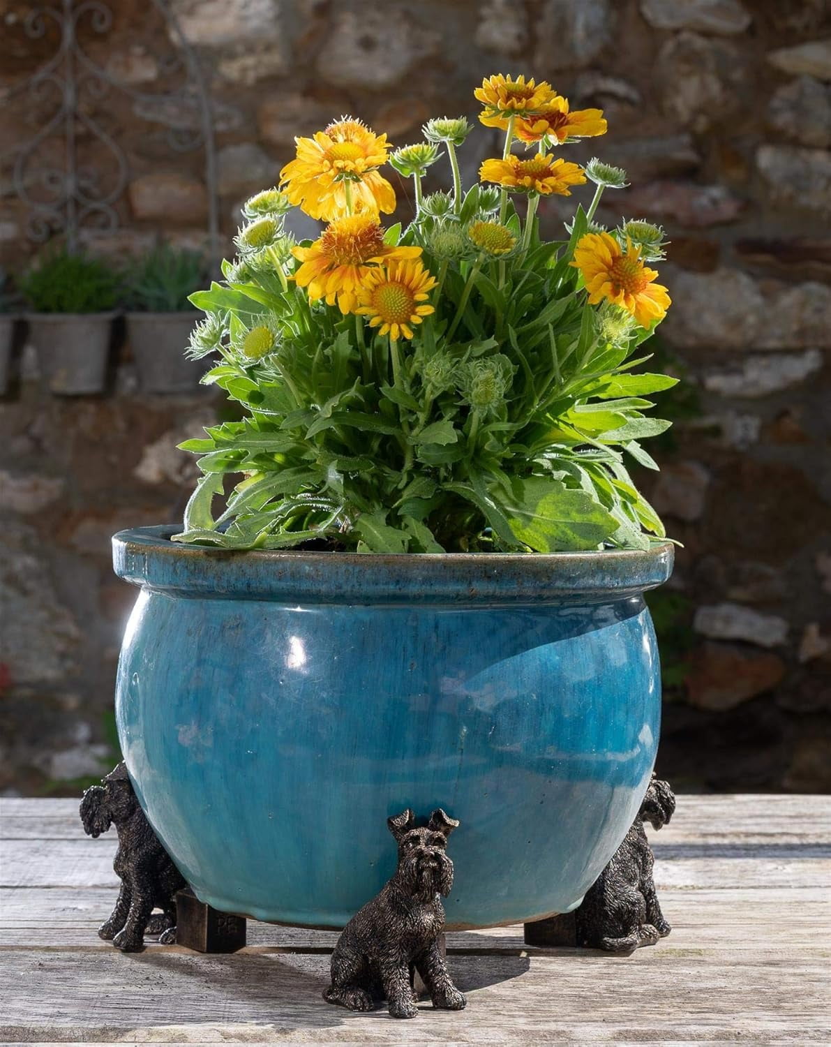 Potty Feet Schnauzer Figures Pot Feet Planter Riser - Pot Support Feet ...