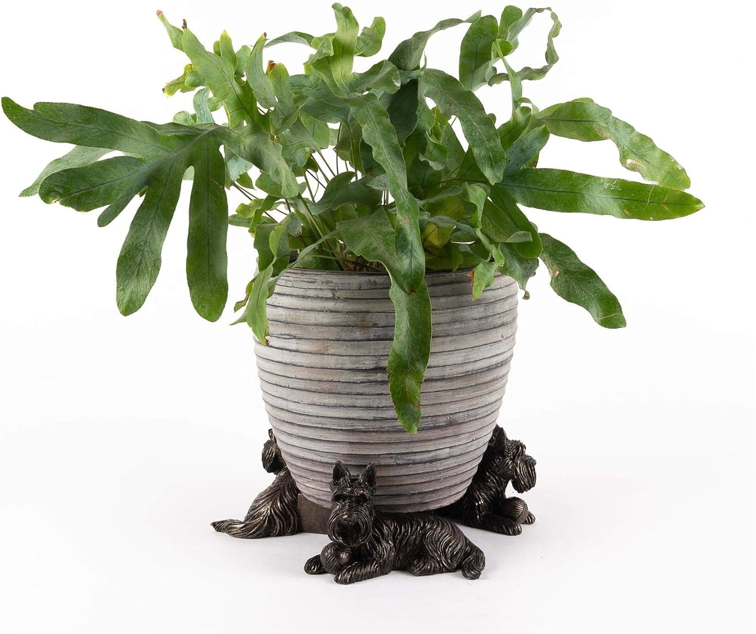 Potty Feet Scottish Terrier Figures Pot Feet Planter Riser - Pot ...