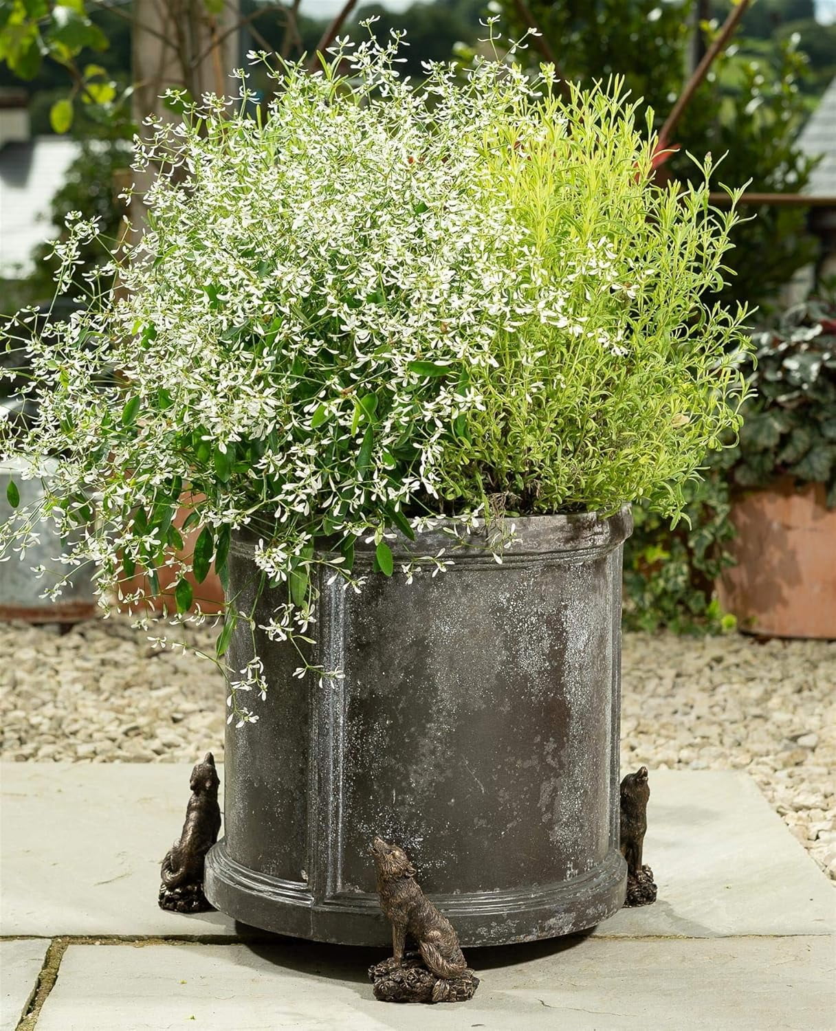 Potty Feet Wolf Figures Pot Feet Planter Riser - Pot Support Feet ...