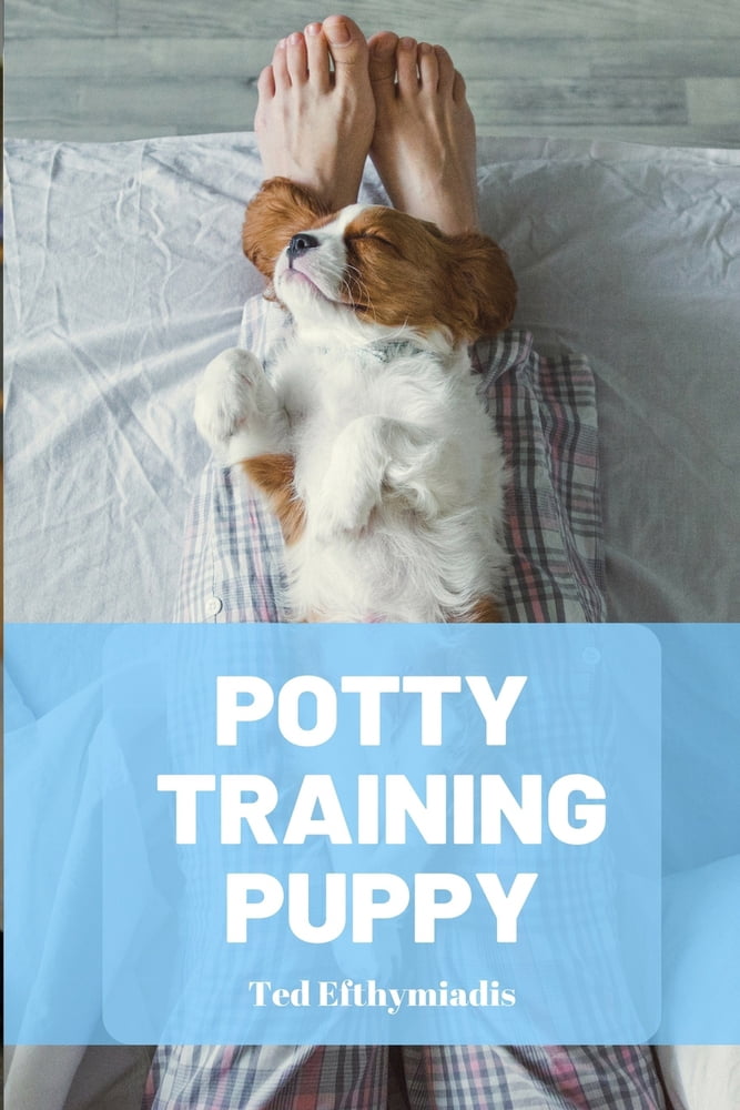 Help Puppy Potty Training