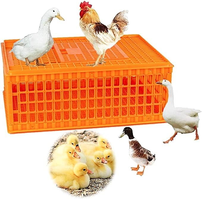 Poultry Carrier Crate Plastic Chicken Transport Crate Carrier Cage for ...
