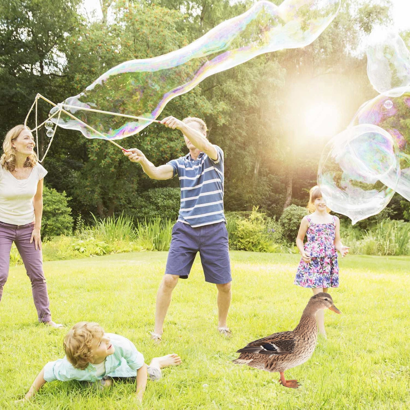 Poultry Decoration Courtyard Card Size Hen Card Decoration Courtyard ...