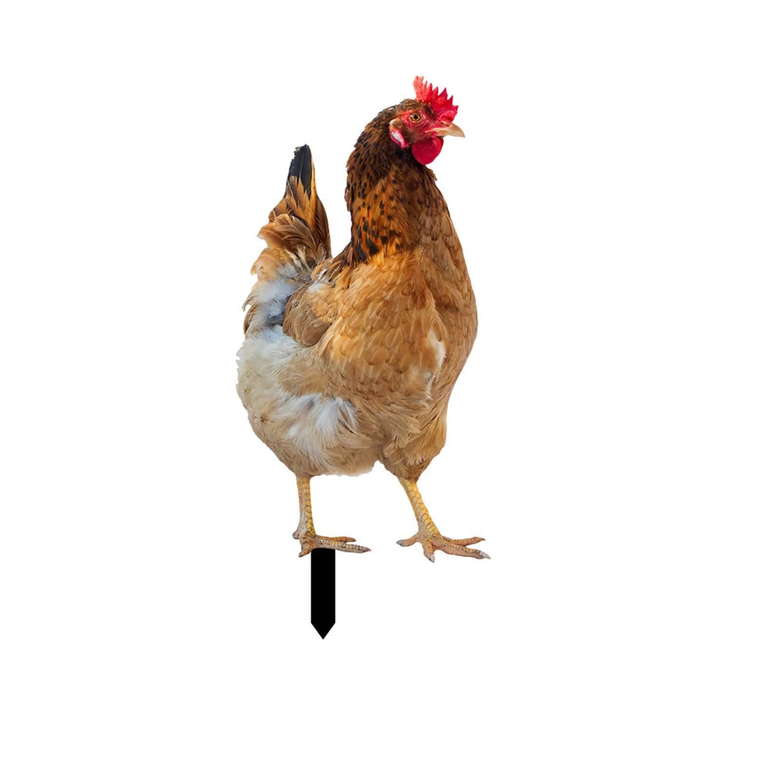 Poultry Decoration Yard Insert - Rooster Acrylic Sticker Yard Art ...