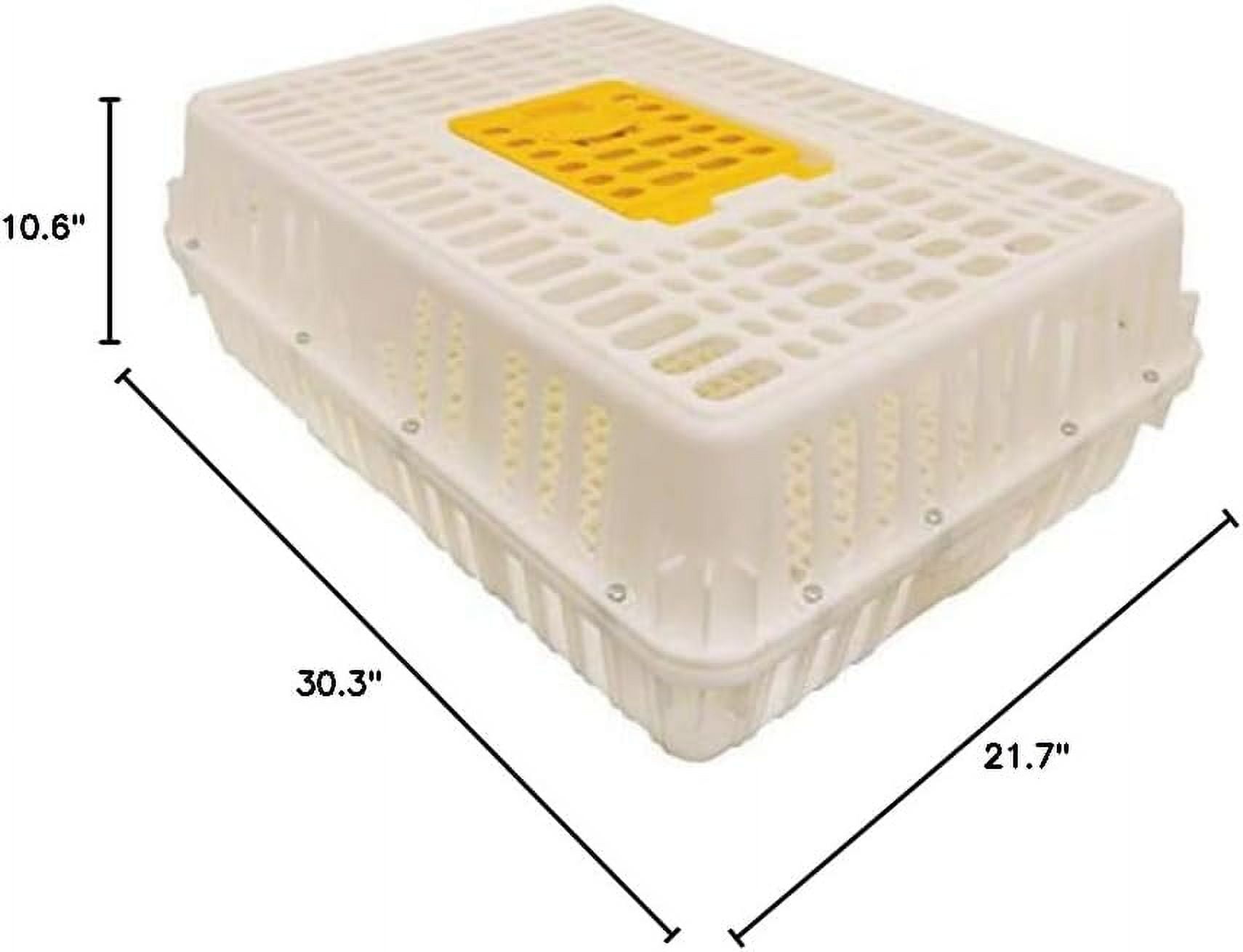 Poultry Transport Crate | Secure Chicken & | Durable Plastic with ...