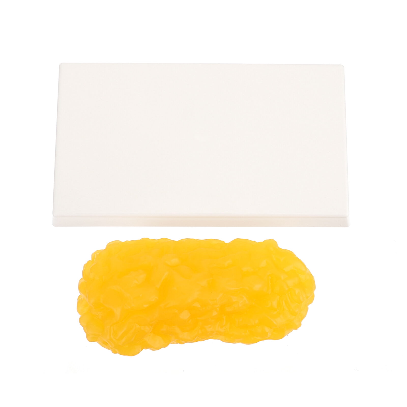 Pound Coin Human Fat Replica Model Body - Walmart.com