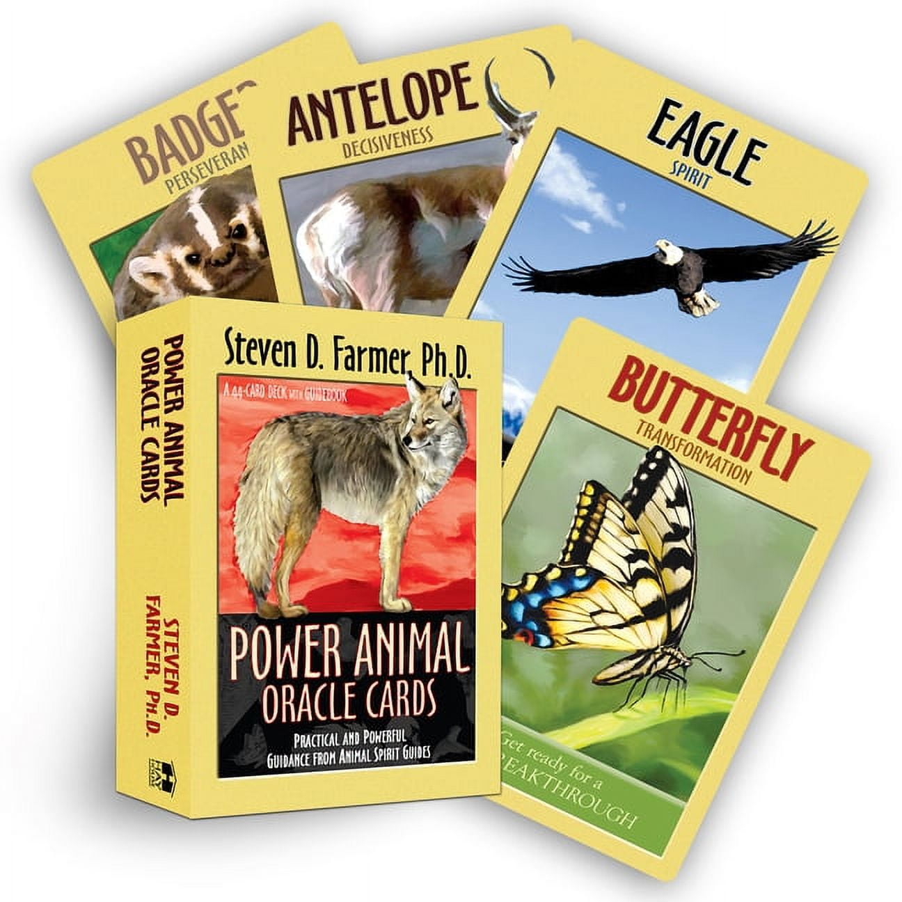 Power Animal Oracle Cards: Practical and Powerful Guidance from Animal ...