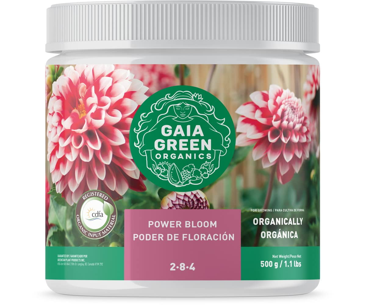 Power Bloom, 500 Gram - Walmart.com