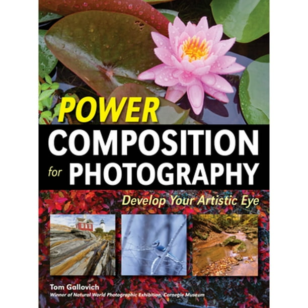 Power Composition for Photography: Develop Your Artistic Eye (Paperback ...