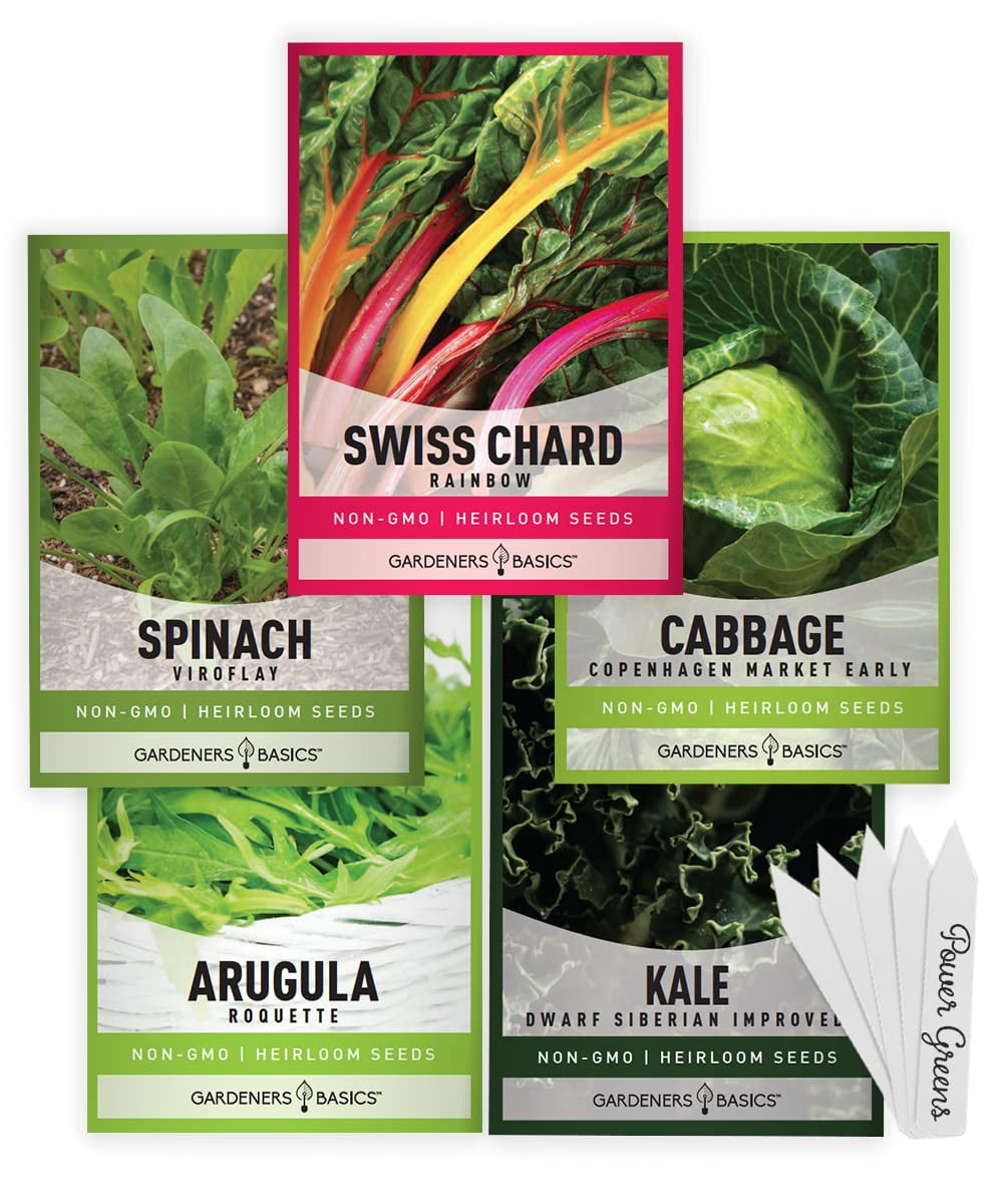 Power Greens Seeds for Planting Individual Packets 5 Pack - Arugula ...