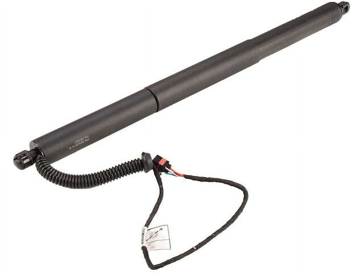 Power Liftgate Actuator 1 - Compatible with 2015 - 2019 Audi Q3 Sport ...