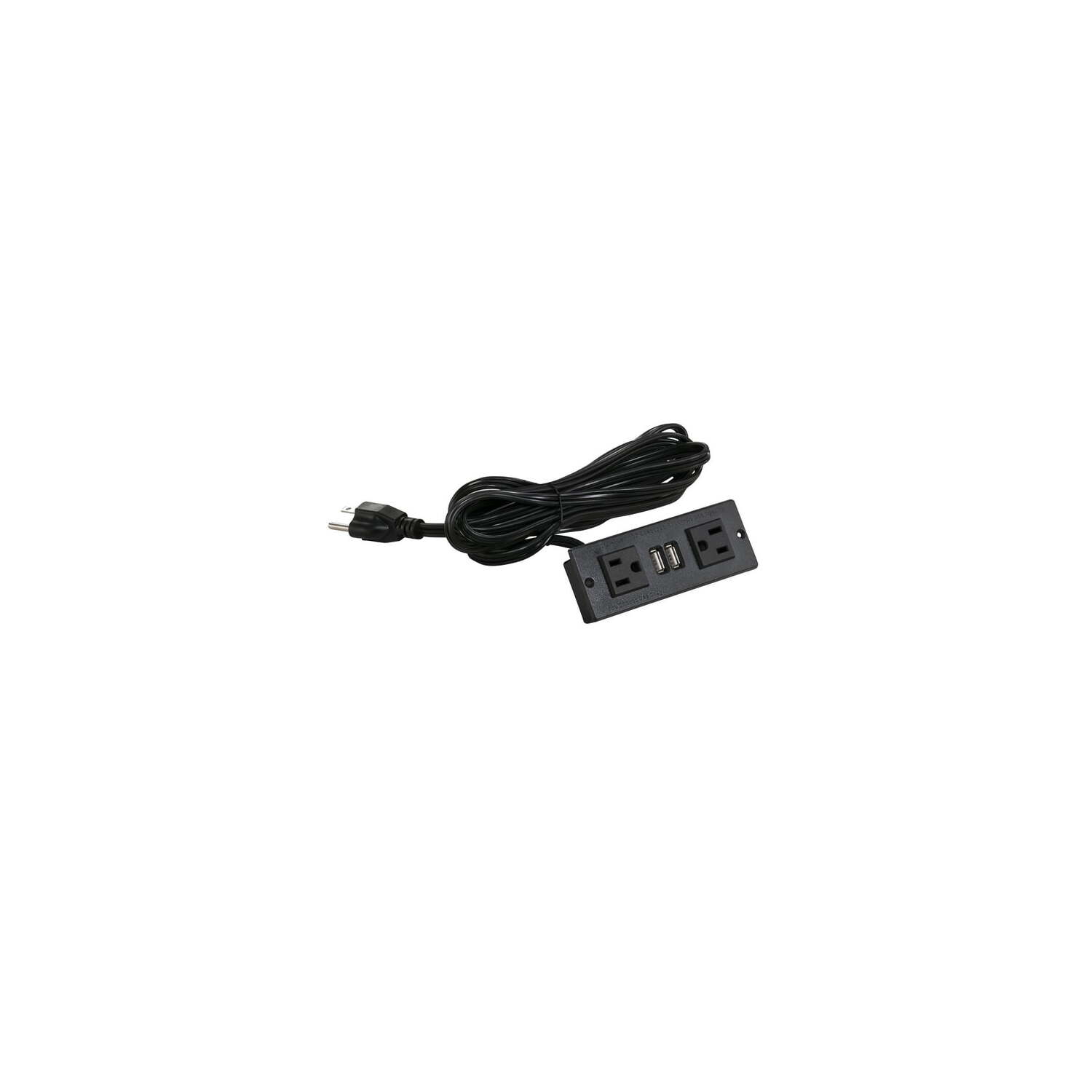 Power Module with 2 Power and 2 USB Outlets - Walmart Business Supplies