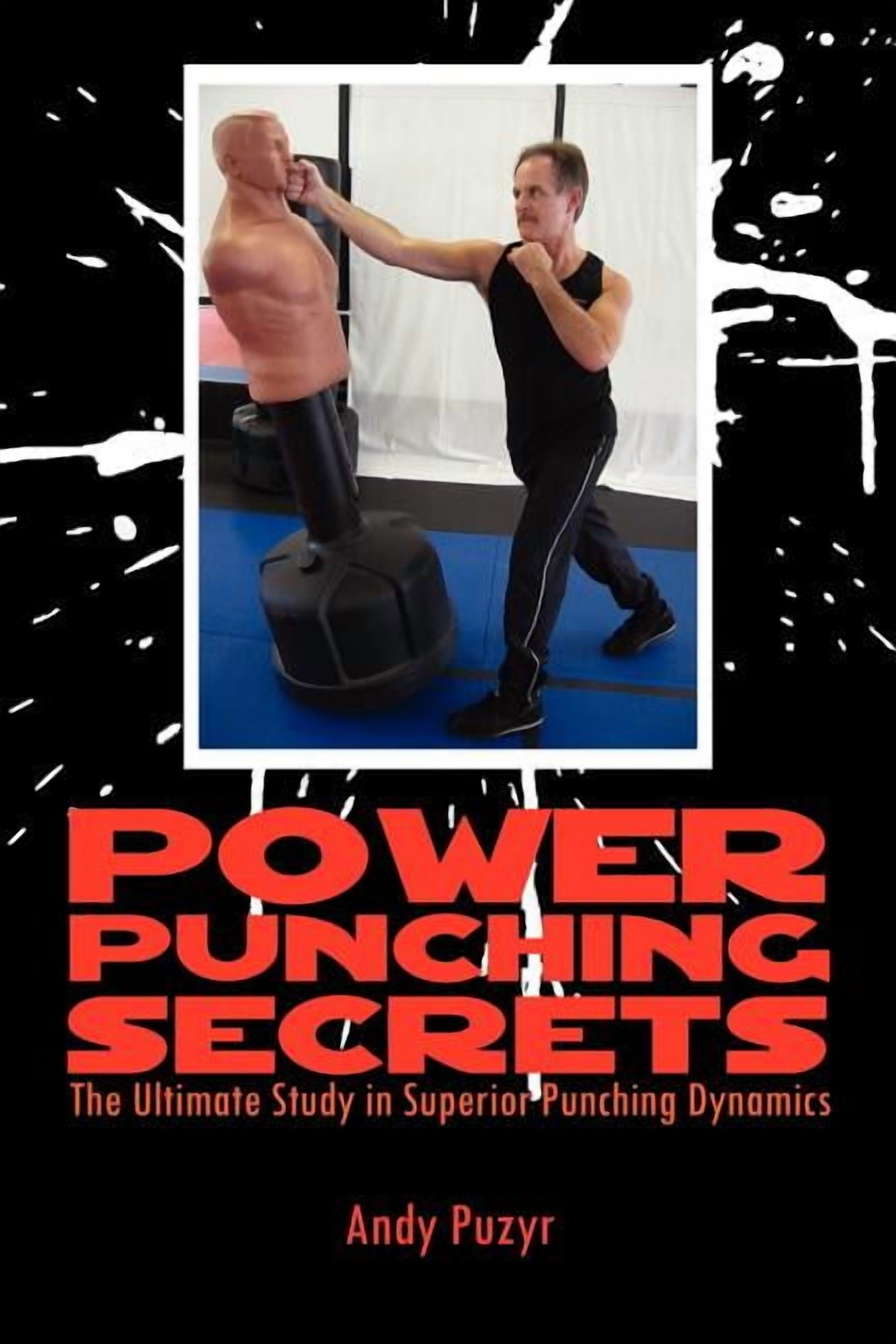 Power Punching Secrets (Paperback) by Andy Puzyr - Walmart.com