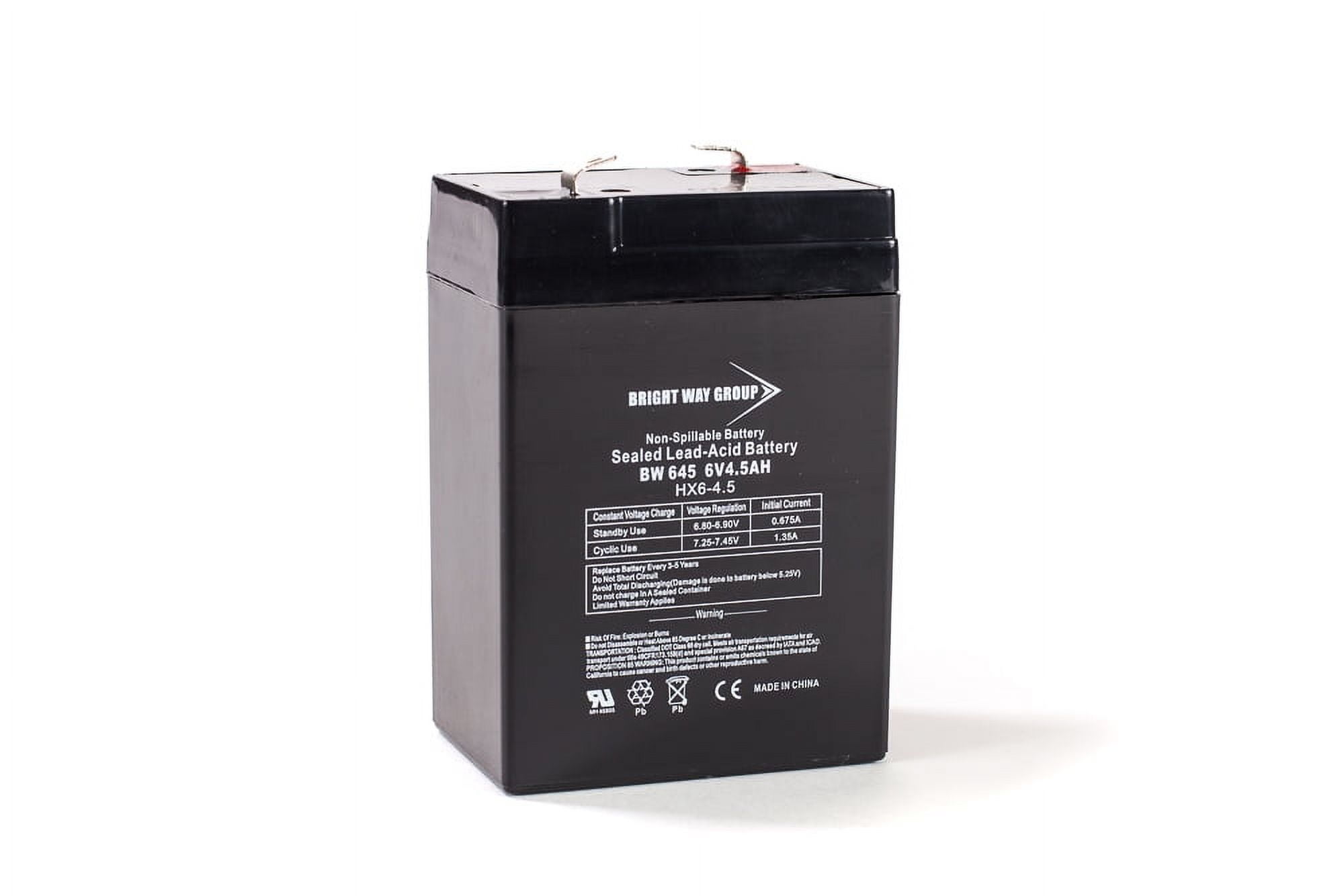 Power Sonic ERB-0604 Battery Replacement by Bright Way - Walmart.com