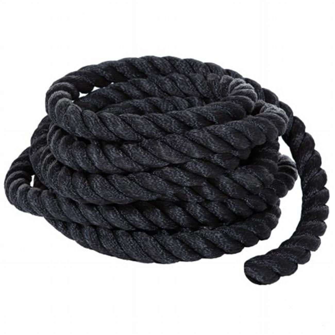 Power Systems 13656 50 ft. x 2 in. Power Training Rope - Black ...