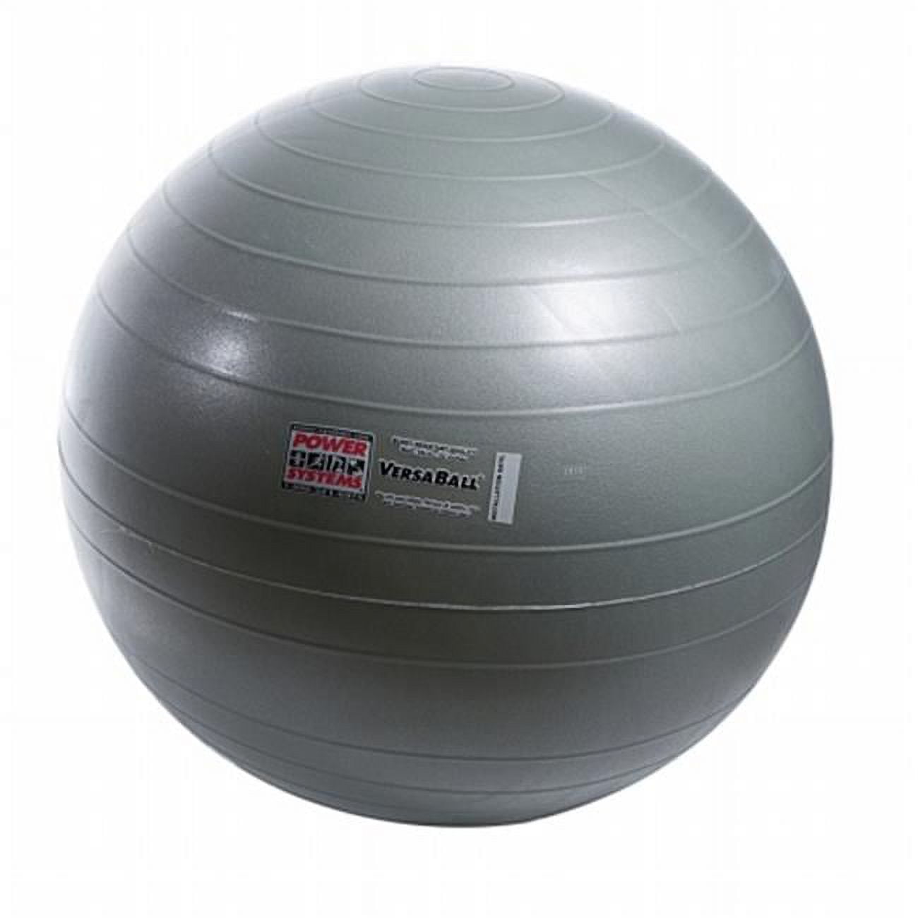 Power Systems 80027 65cm VersaBall Stability Ball - Silver Frost ...