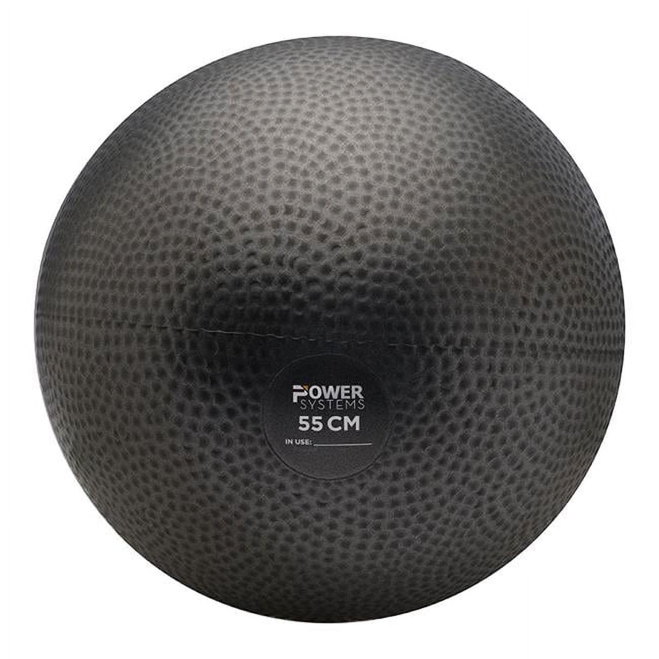 Power Systems 80072 65 cm ProElite Stability Ball - Black - Walmart.com