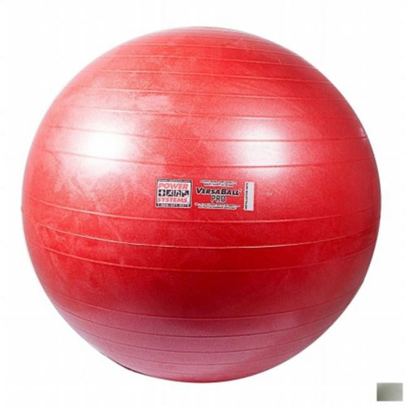 Power Systems 80127 75cm VersaBall Pro Stability Ball - Silver Frost ...