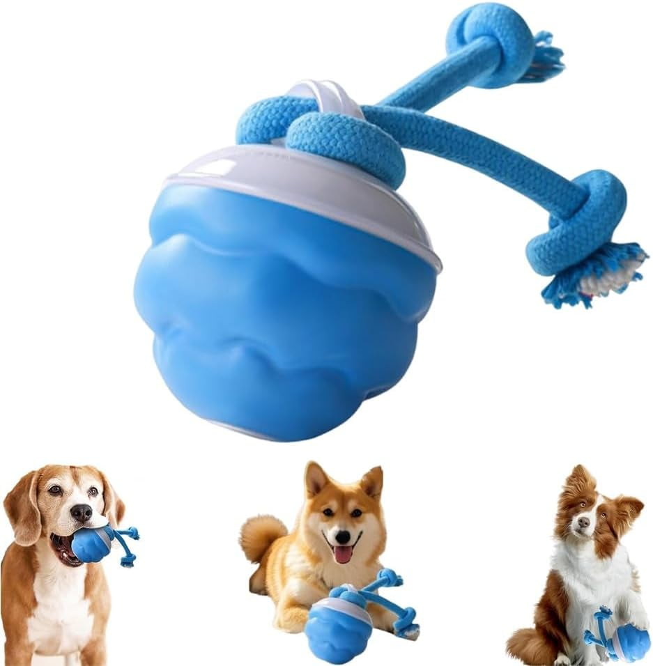 Power Tail 2.0 Dog Toy, 2025 New Dog Ball with Motion Activated ...