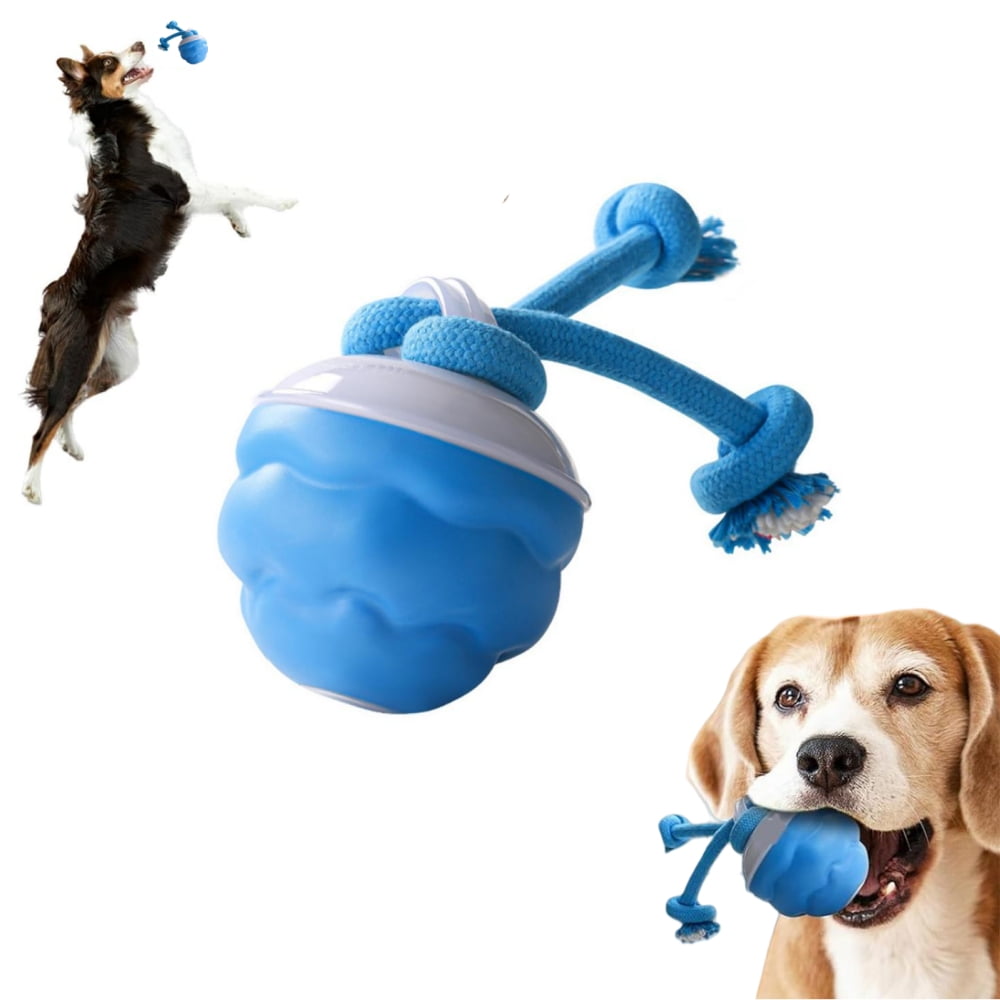 Power Tail 2.0 Dog Toy, 2025 New Interactive Dog Toys, Smart Jumping ...
