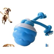 Eoperou Interactive Dog Toy Ball for Small Medium Dogs Motion Activated ...