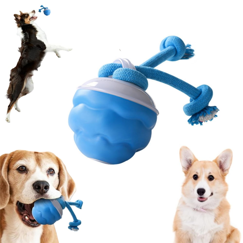 Power Tail 2.0 Dog Toy, PowerTail Dog Toys, Smart Interactive Jumping ...
