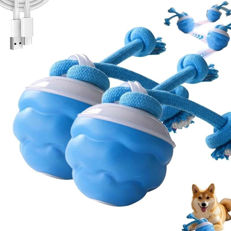 Power Tail 2.0 Dog Toy, Smart Dog Ball, Moving Smart Squeaky Automatic ...
